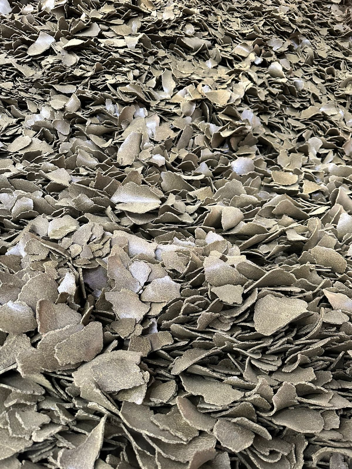 Buy Premium Rapeseed Meal – High-protein Feed, Non-gmo from Zenith ...