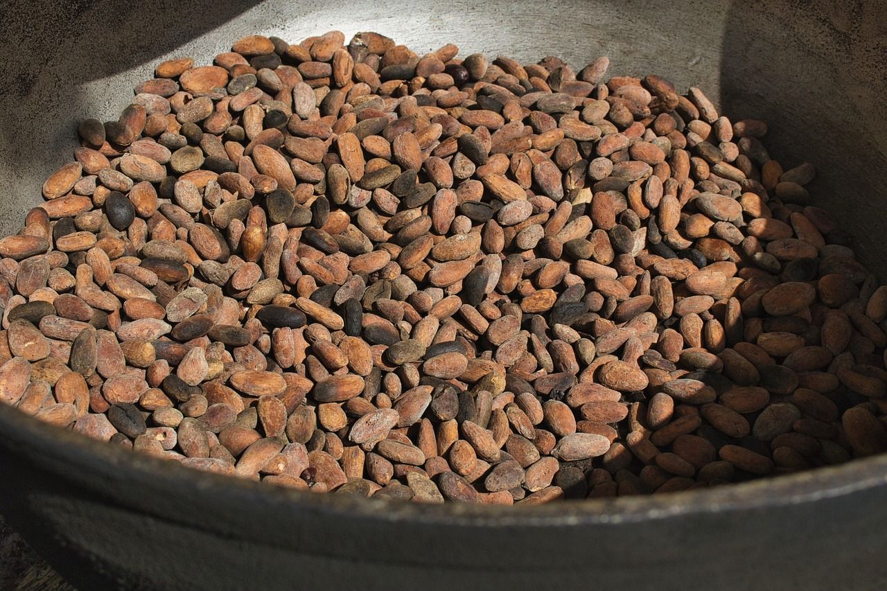 Buy Cocoa Beans from Gold Click Brokers, Tanzania | Tradewheel.com