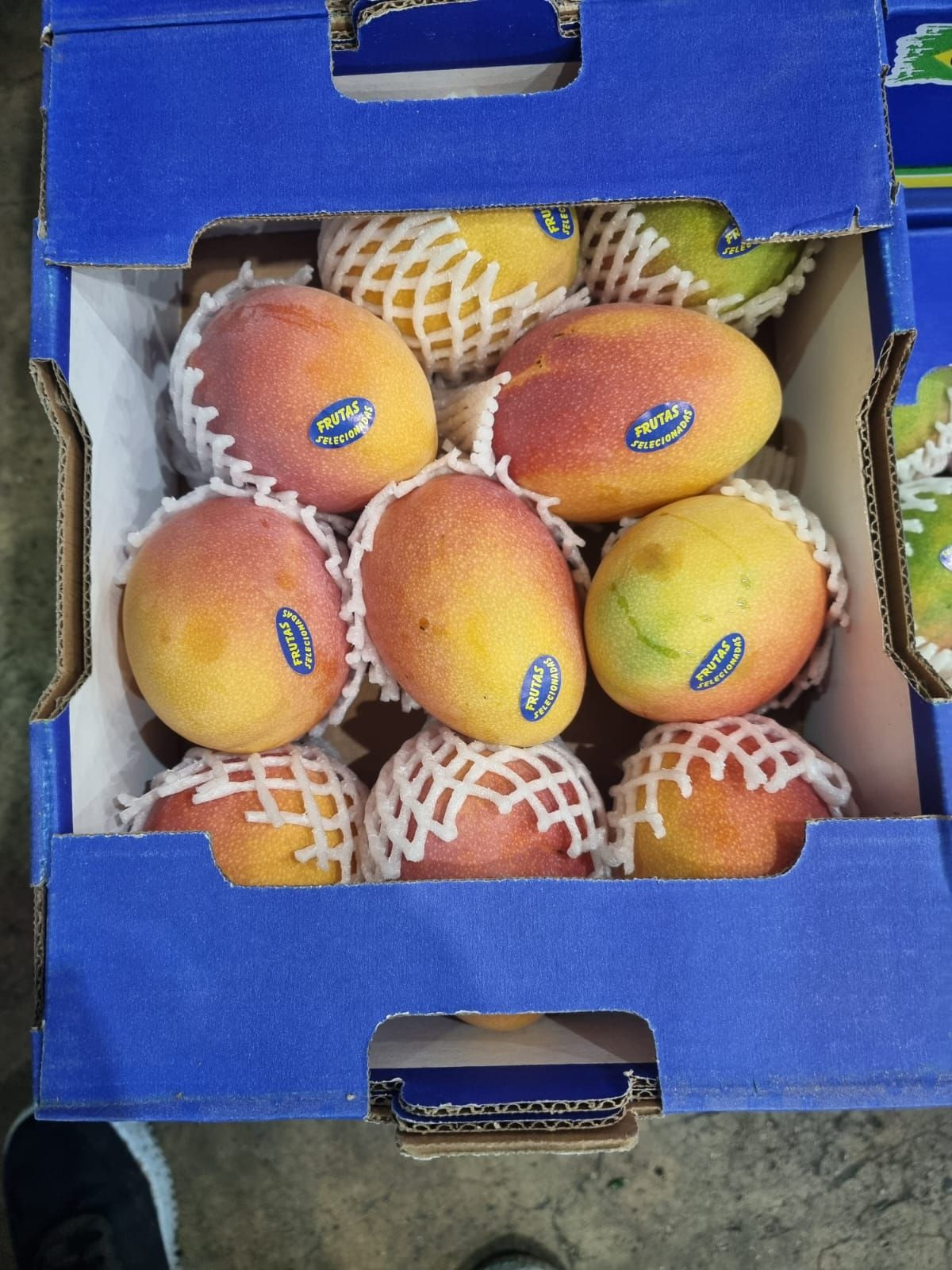 Buy Mango Haden from Correa e Correa Export, Brazil | Tradewheel.com
