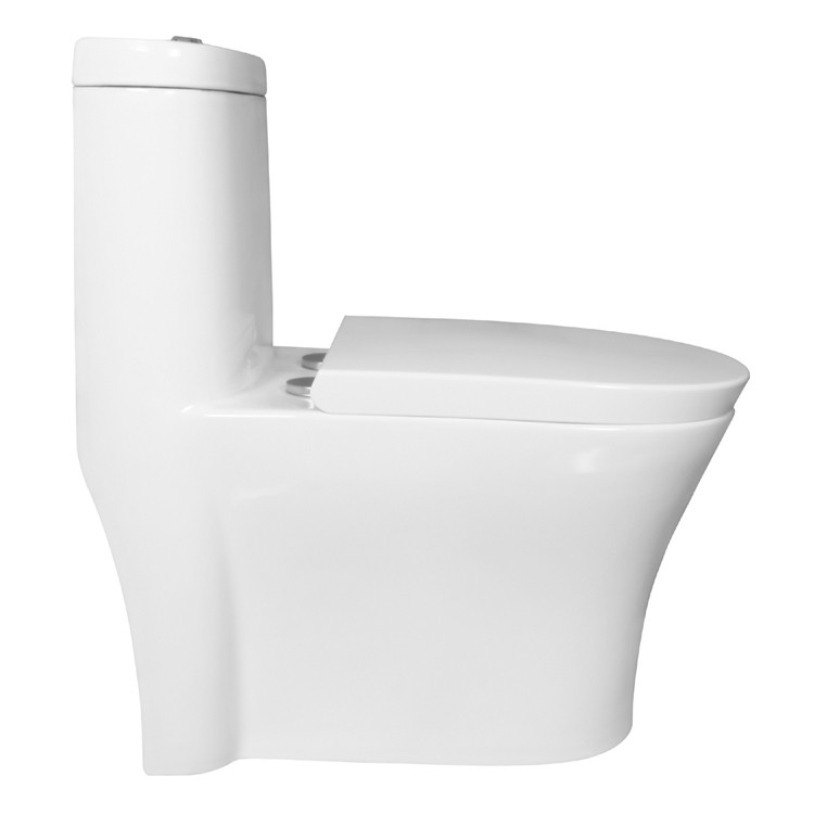Buy Bathroom Ceramic Floor Mounted Siphon Jet Flushing Bidet Conjoined ...