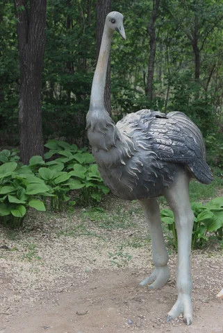 Buy Custom Fiberglass Ostrich Animal Statue Sculpture Life Size Ostrich ...