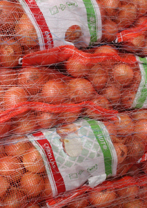 Buy Fresh Onions from WJT International, Belgium | Tradewheel.com