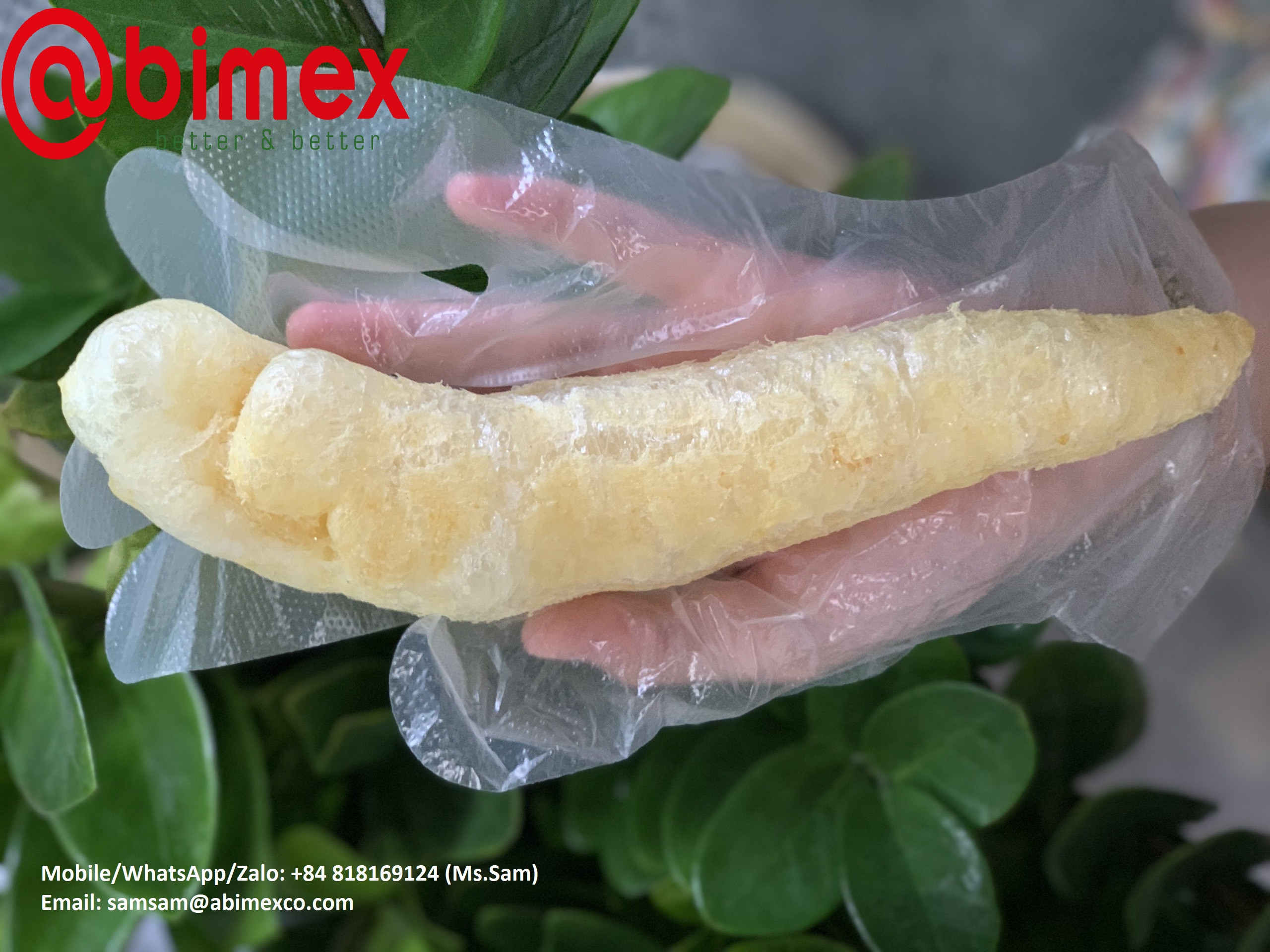 Buy Fried Dried Fish Maw / Swim Bladder With High Nutrients // Whatsapp ...