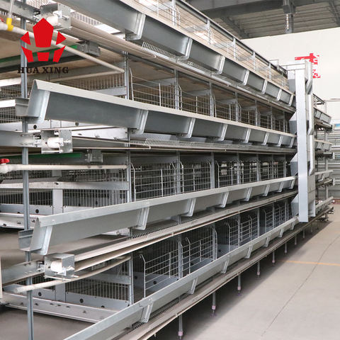Buy H Type Automatic Chicken Breeding Cage Chicken Broiler Cages For ...