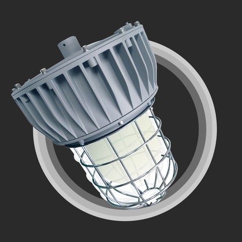 Buy Hazard Place Explosion Proof Emergency Light Industry Chemical Gas ...
