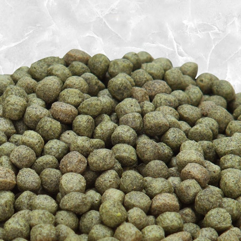 Buy Koi Fish Eat High Spirulina Color-enhancing Particles Ornamental ...