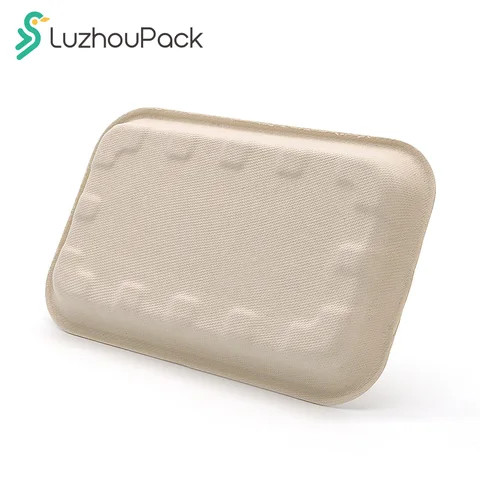 Buy Luzhoupack Disposable Packaging Biodegradable Sugarcane Bagasse ...