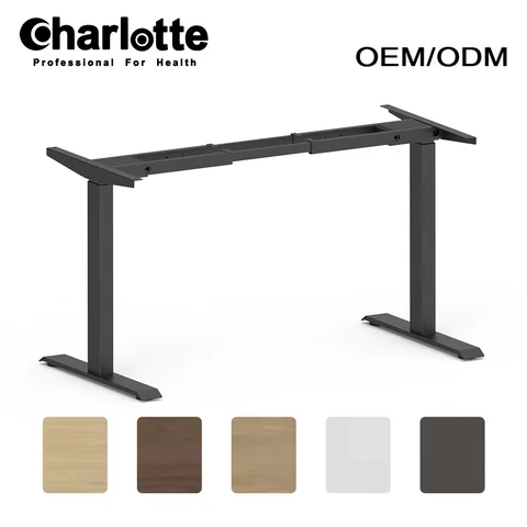 Buy Modern Dual Motor Standing Desk Automatic Iron Extendable Legs ...