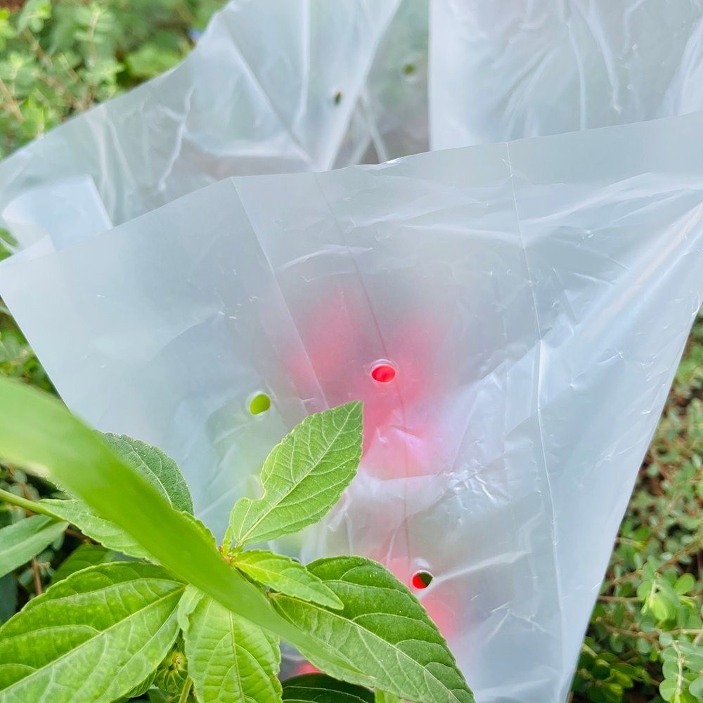 Buy Pla Vegetable Package Shopping Degradable Bag from Suzhou Quanhua ...