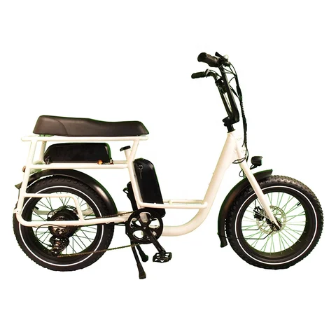 Buy Raiderrover-40f 20" 48velectric Fast Utility Ebike Electricfat Tire ...