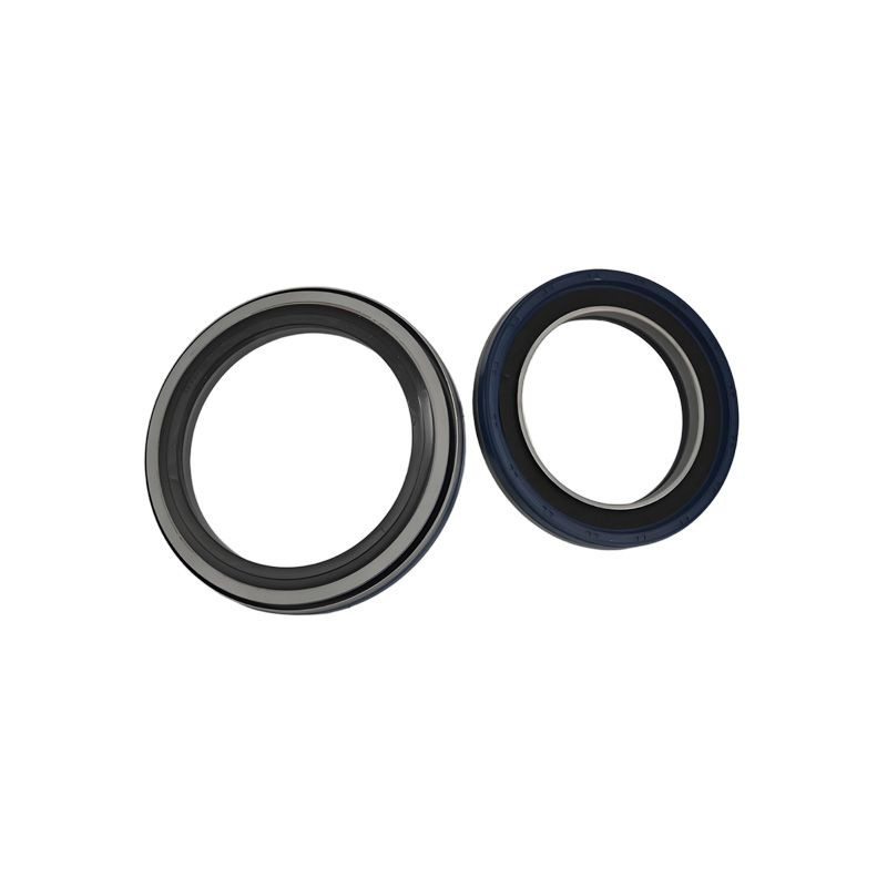 Buy Cassette Seals And Combined Seals For Demanding Applications from ...