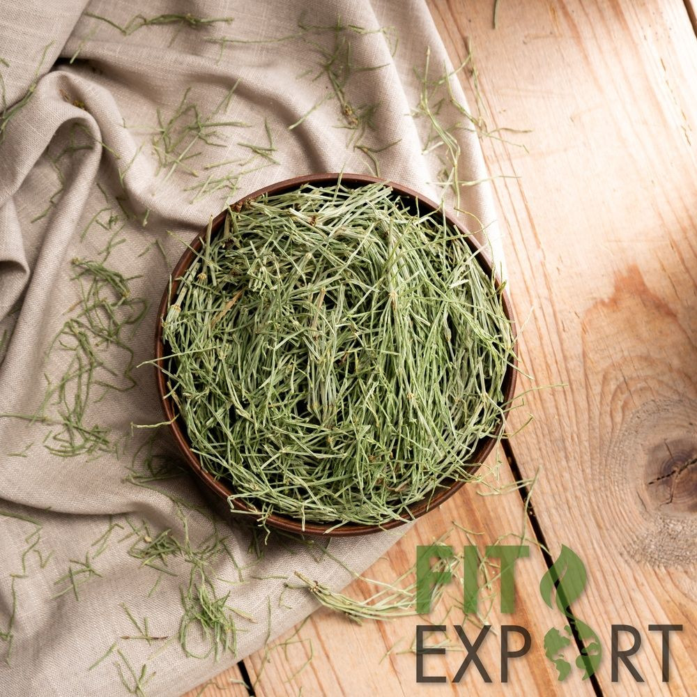 Buy Dried Horsetail Herb, Equisetum Arvense, Field Horsetail from Fito-Export, Ukraine ...