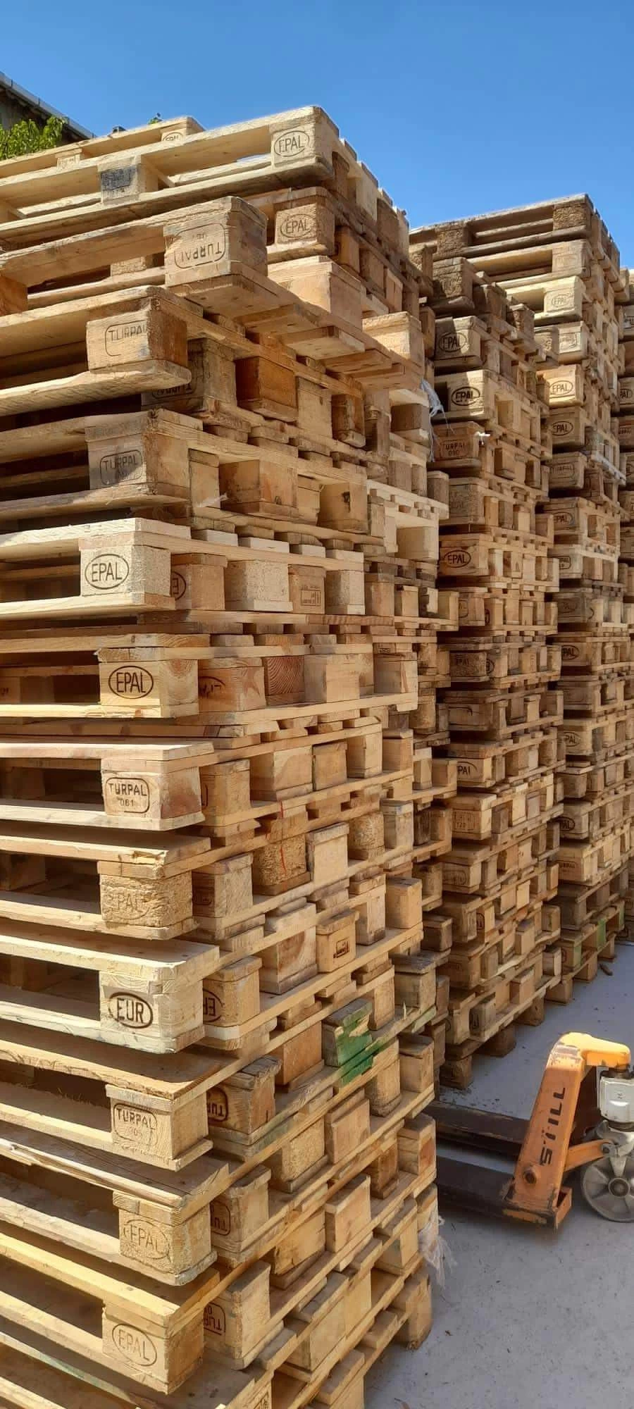 Buy Used - Epal Pallet from Eco Warm Ltd, Bulgaria | Tradewheel.com