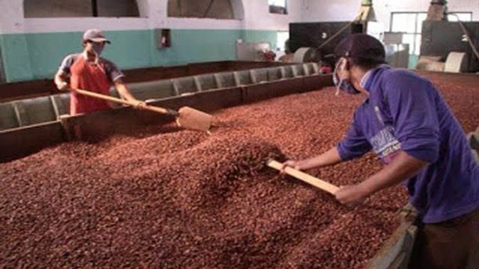 Buy Cocoa Alpha from Alpine Strata, USA | Tradewheel.com