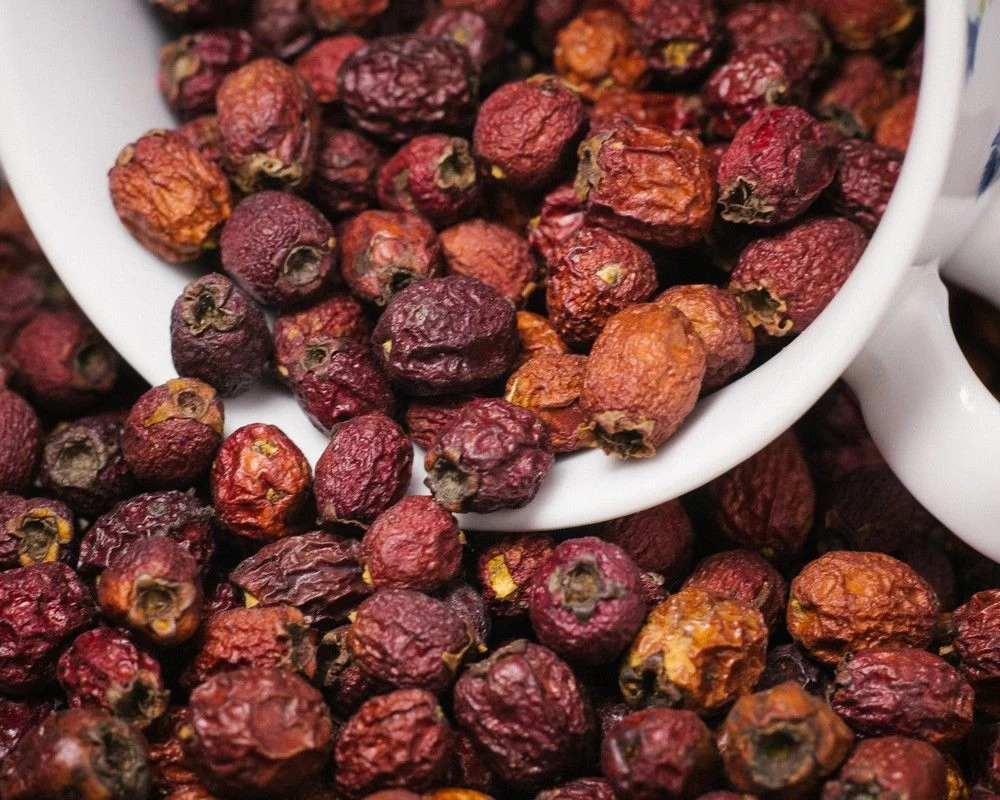 Buy Hawthorn Berries Dried from Zhivana Organics LLC, Ukraine ...