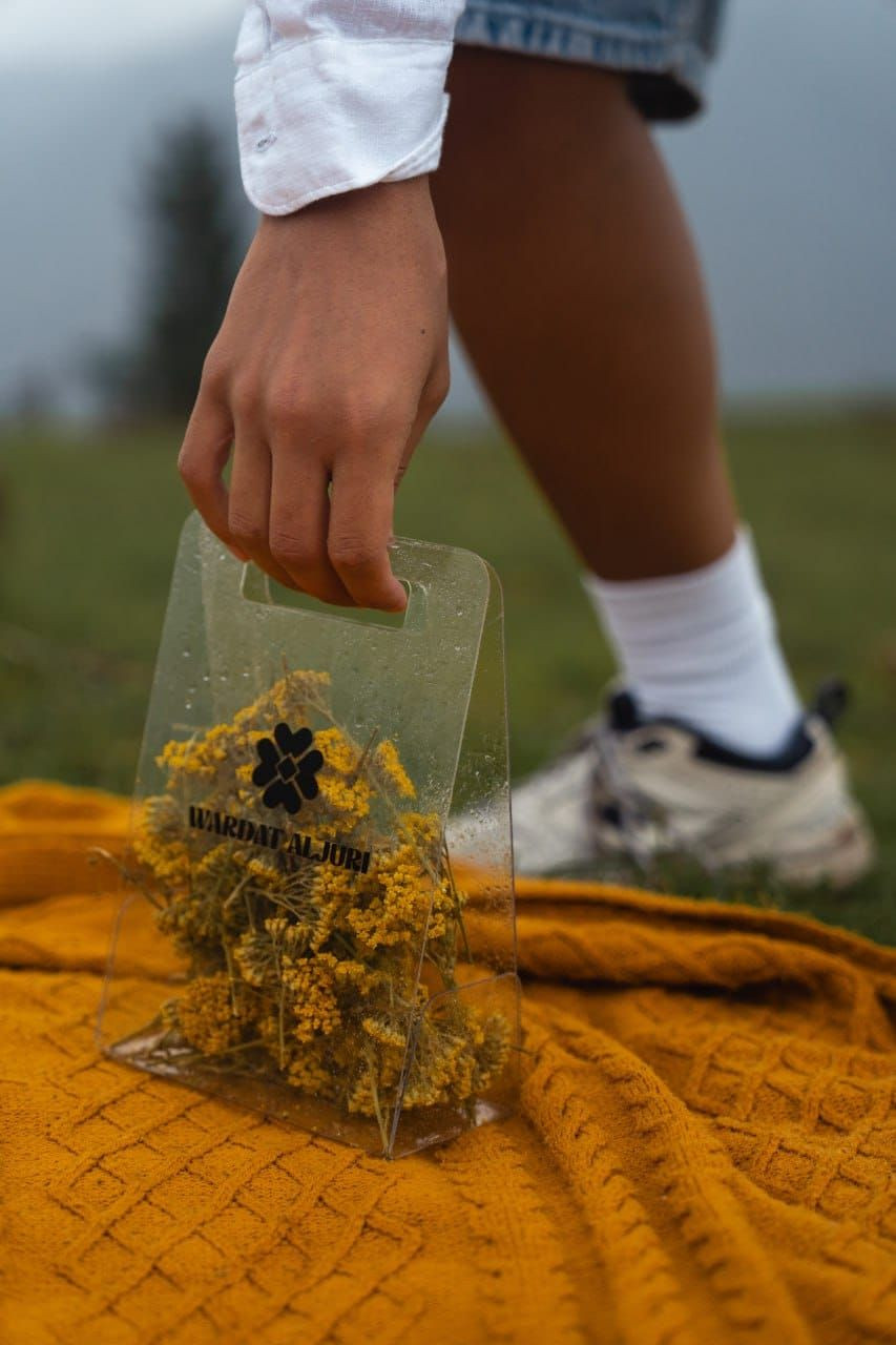 Buy Yarrow from Rose de Damas-Wardat Aljour, France | Tradewheel.com