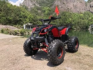 Buy Hotsale 125cc Small Bull Atv from Shandong shengwo new energy ...