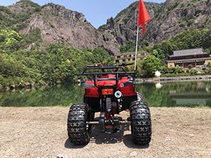 Buy Hotsale 125cc Small Bull Atv from Shandong shengwo new energy ...