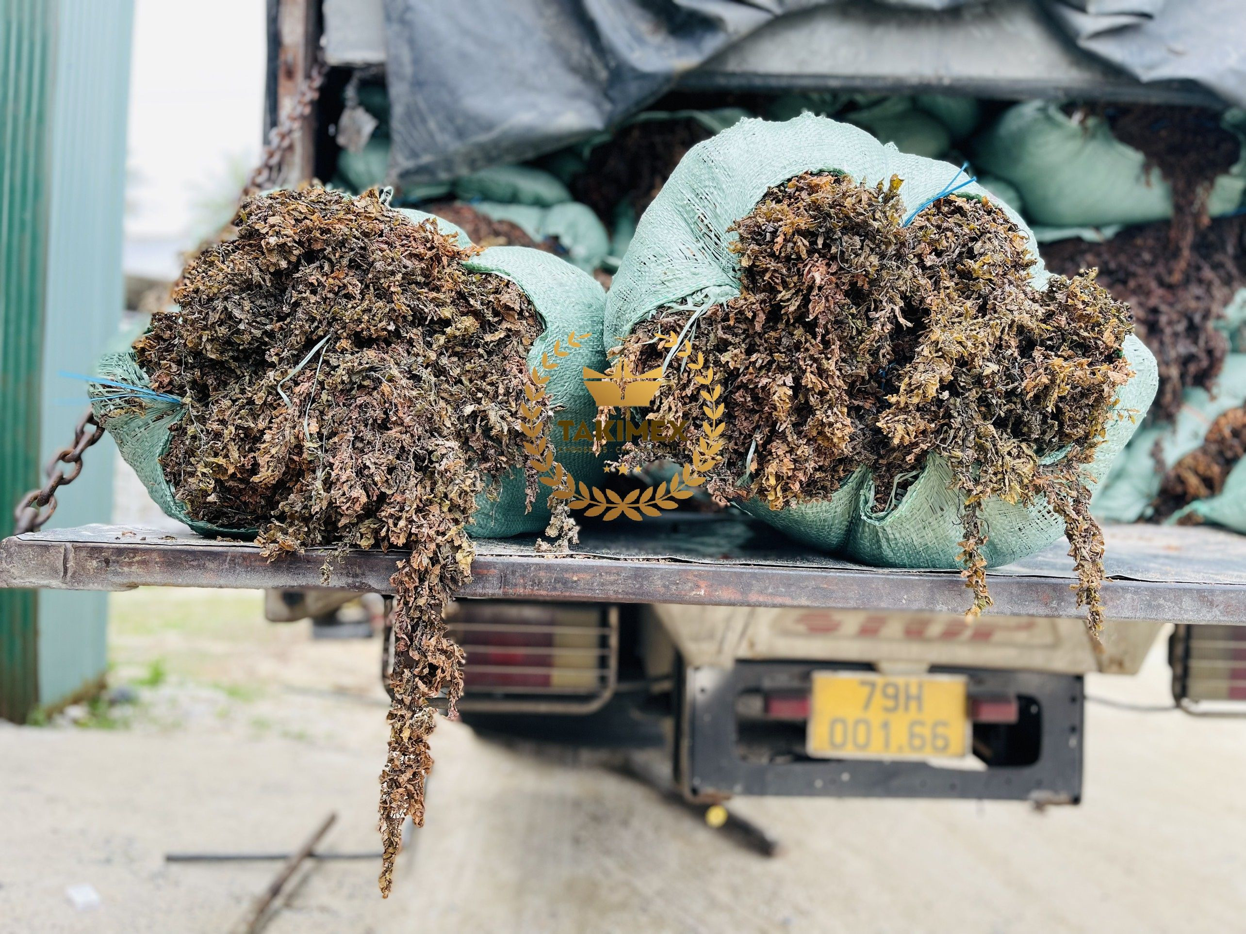 Buy Less Sand - Extremely Dry - Dried Sargassum Seaweed From Vietnam ...