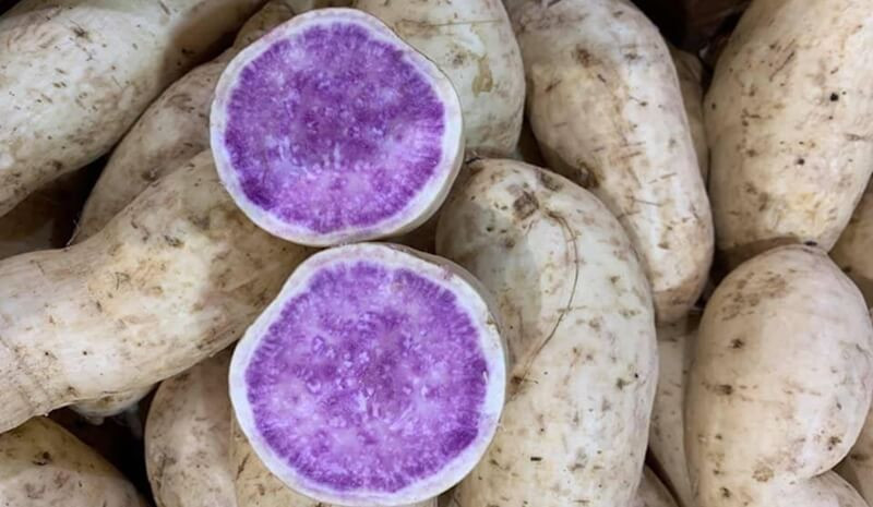 Buy Okinawa Sweet Potato from nguyen's farm, USA | Tradewheel.com