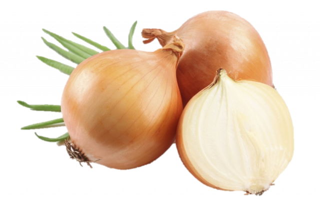 Buy Onion from world import export trade, Russia | Tradewheel.com