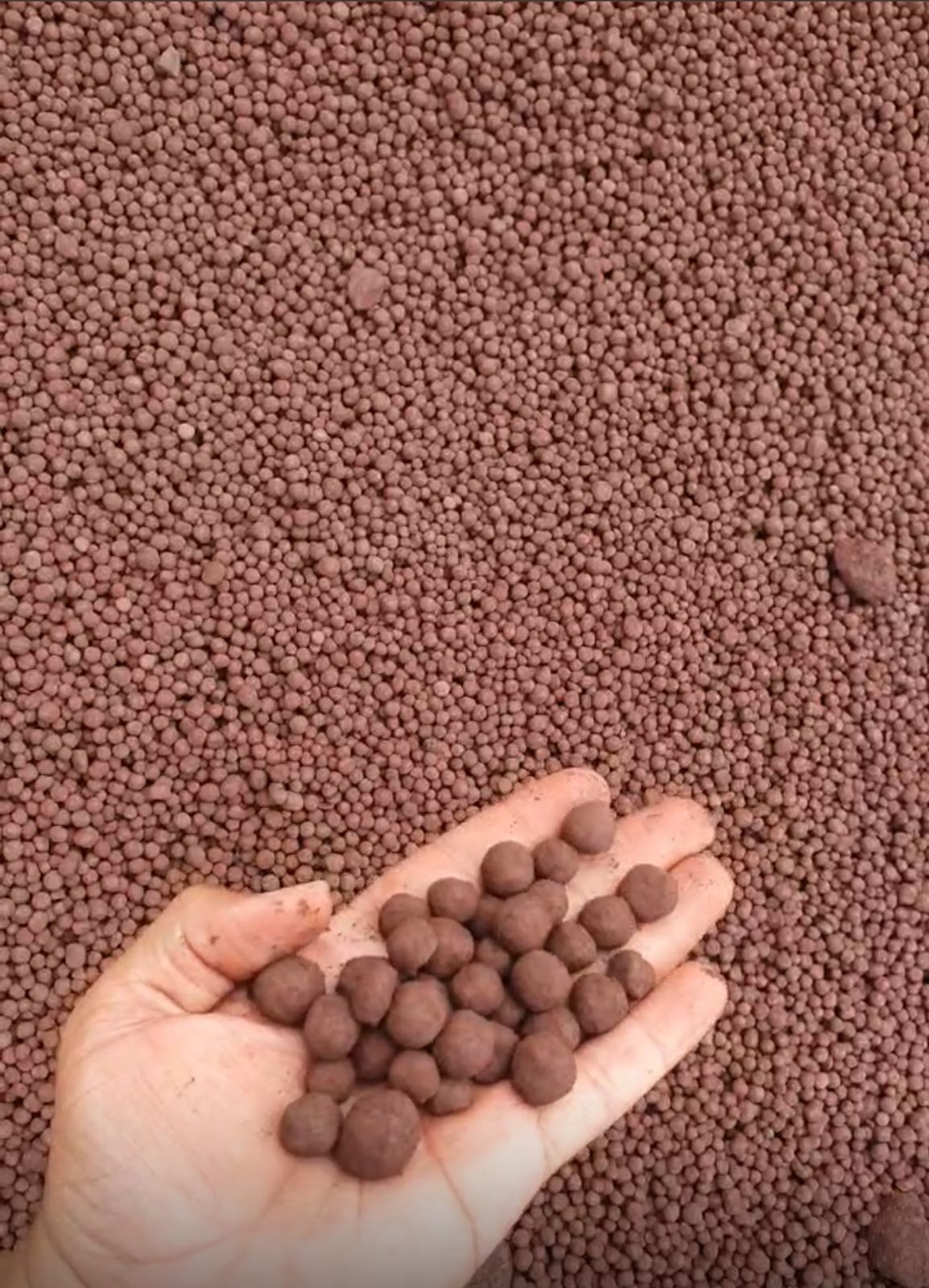 Buy Iron Ore Pellets from ZTRADE, Brazil | Tradewheel.com
