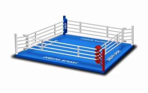 Buy 2024 Professional Customized Size Logo Table Flooring Boxing Ring ...
