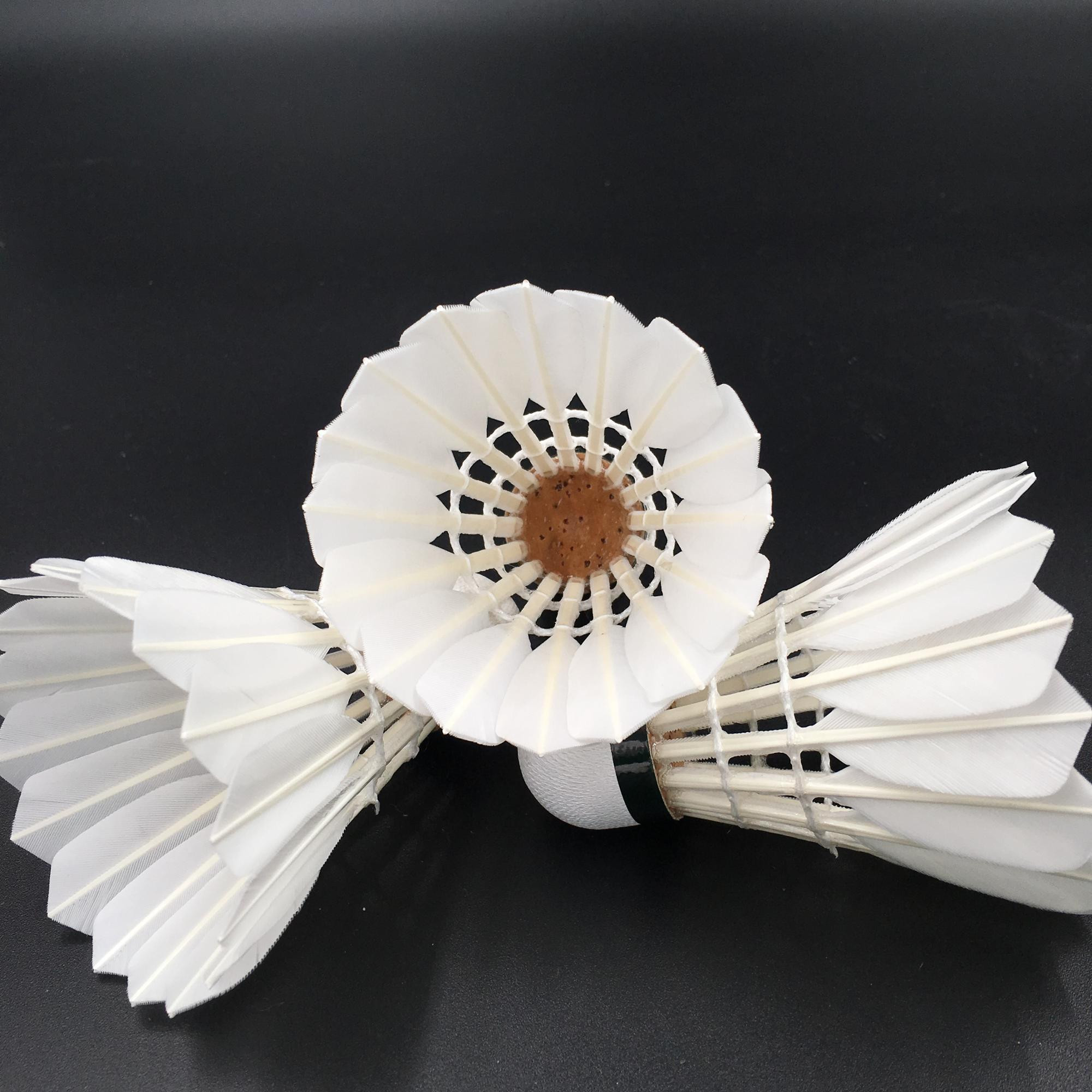 Buy Class A Goose Badminton Shuttlecock From China from Hefei Linton ...