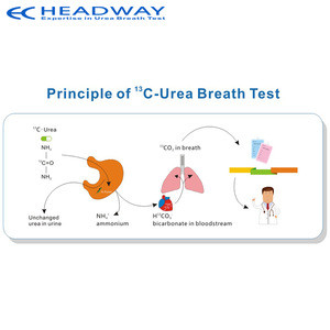 Buy Clinical Chemistry Reagent For Bacteria Helicobacter Pylori ...