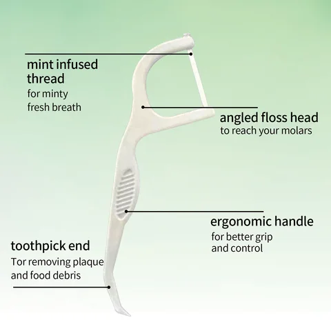 Buy Daily Care Eco-friendly Floss Pick Natural Dental Floss Flosser ...