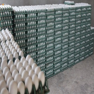Buy Fresh White Shell Chicken Egg Available At Cheap Price from SMM ...