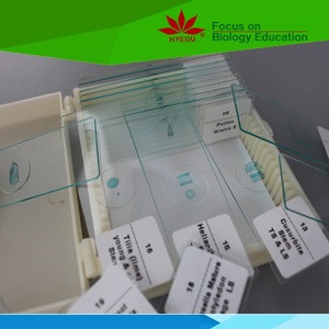 Buy Individual High Quality Tongue Sec.(show Taste Bud ) Microscope ...