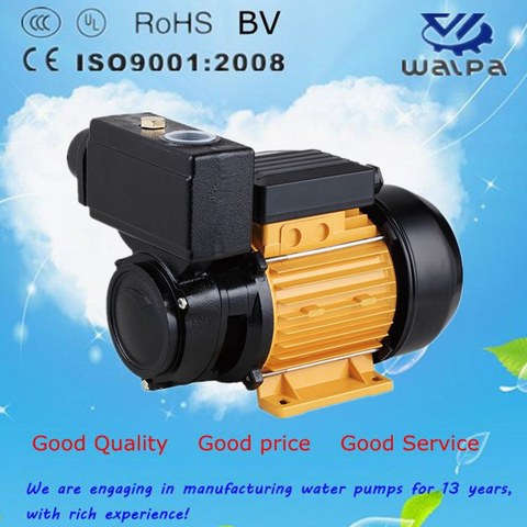 Buy Mini Pump Water Pump With High Head & Good Quality Tps70 0.75hp 100 ...