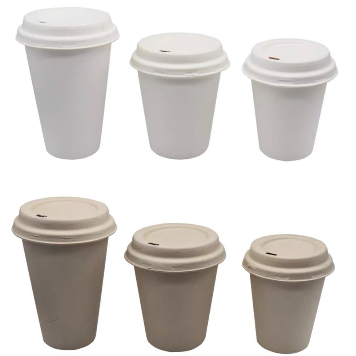 Buy Disposable Biodegradable Paper Double-layer Cup/hot Drink Coffee ...