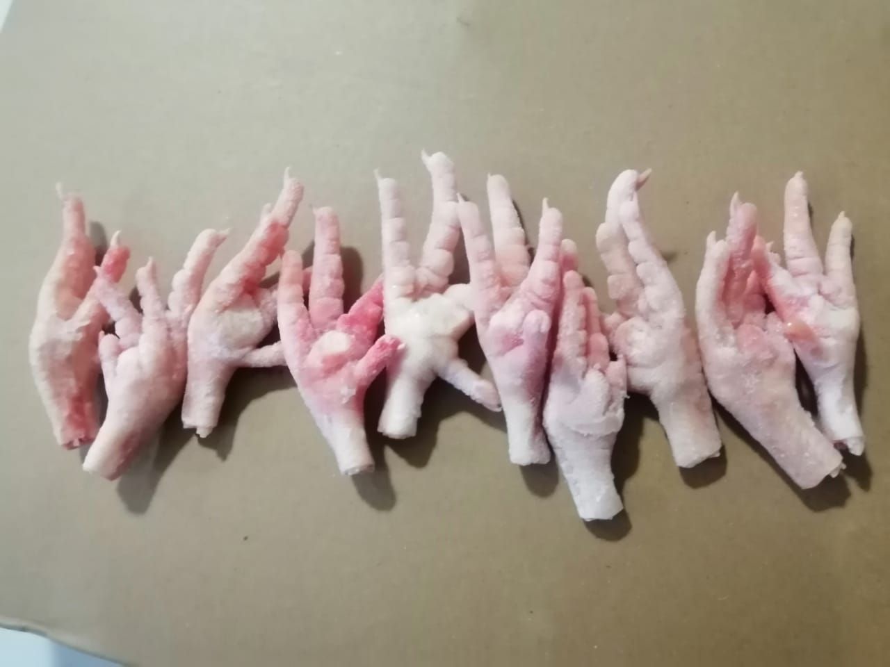 Buy Fish. Live Blue Crabs. Chicken Feet And Paws. from El Mar fish ...