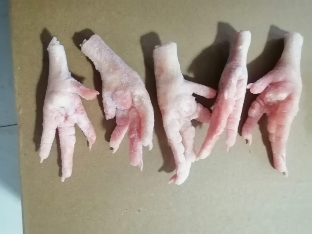 Buy Fish. Live Blue Crabs. Chicken Feet And Paws. from El Mar fish ...