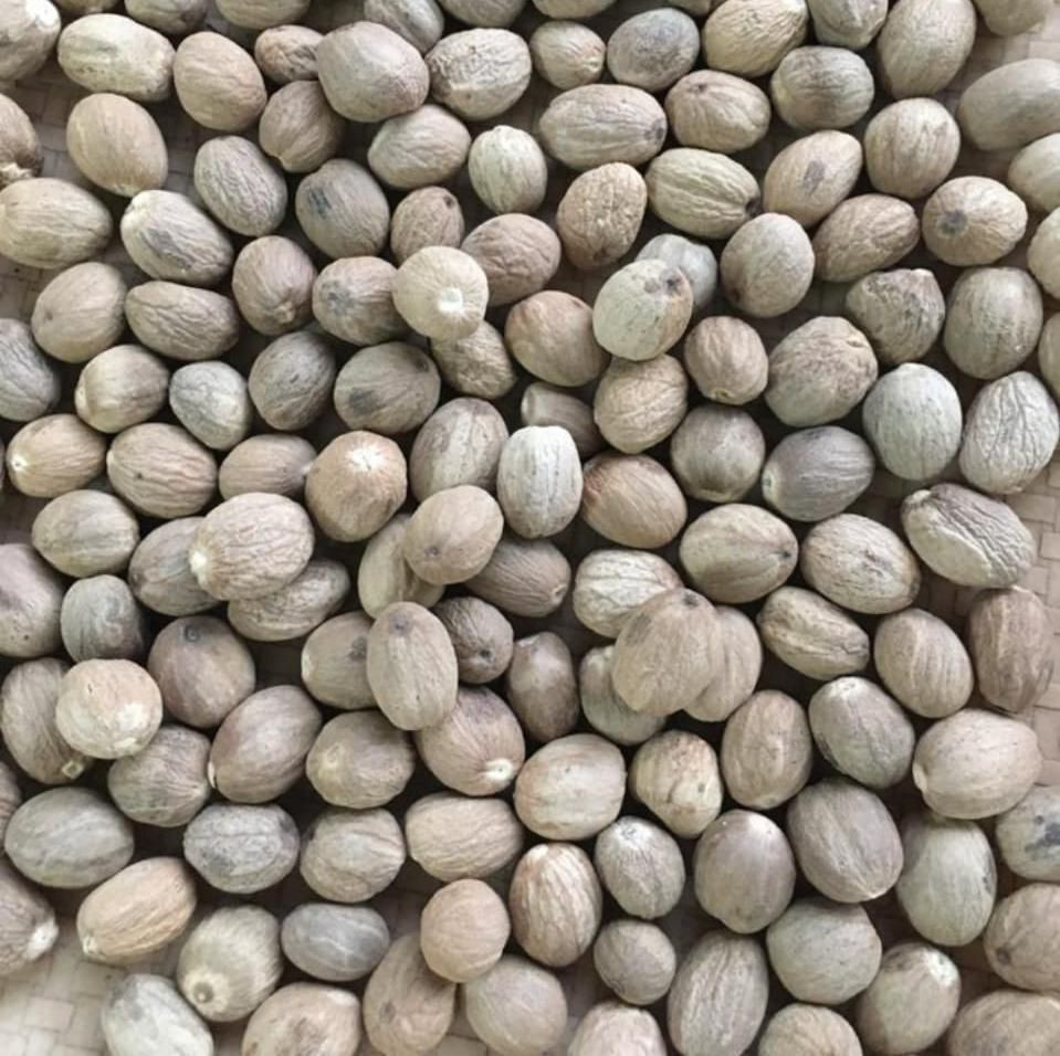 Buy Nutmeg Abcd from Asri Agro, Indonesia | Tradewheel.com