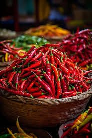 Buy Chili Pepper from Juli-Vic Farms Ghana, Ghana | Tradewheel.com