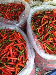 Buy Chili Pepper from Juli-Vic Farms Ghana, Ghana | Tradewheel.com