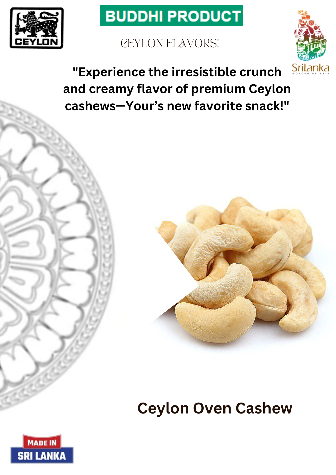 Buy Premium Ceylon Oven Cashew - 100g Pack | Export Quality | Delicious And Healthy Snack from ...