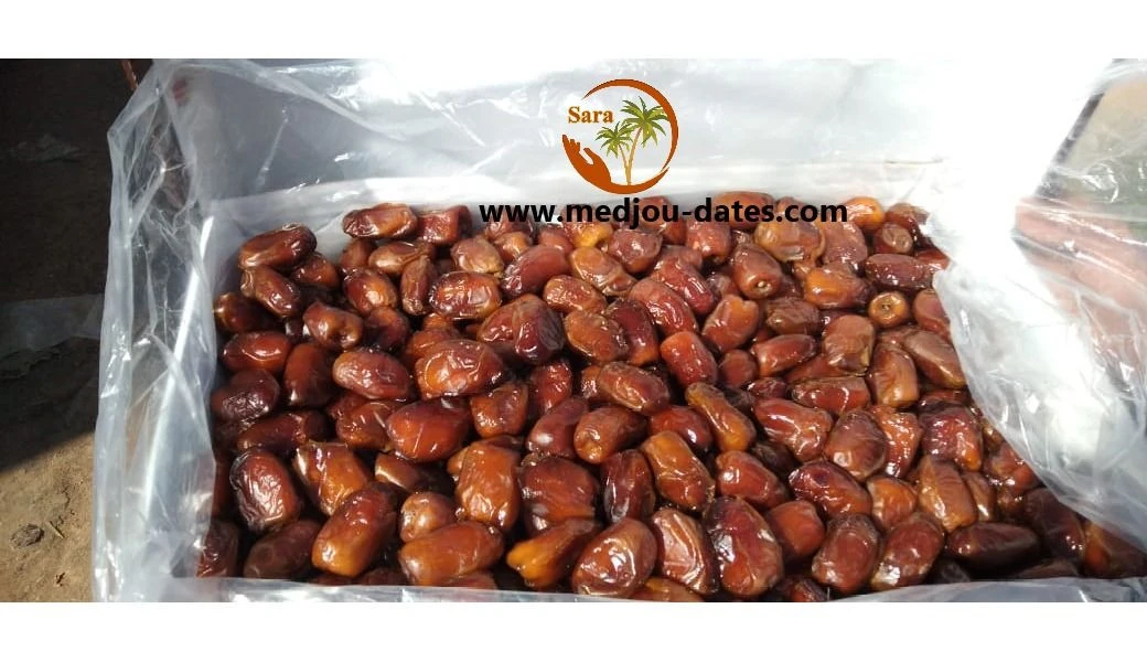 Buy Oasis Dates from Elbardy for export, Egypt | Tradewheel.com