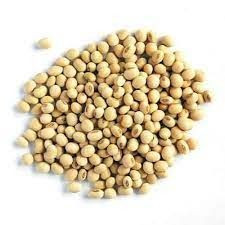 Buy Premium Grade Soybeans For Export – Non-gmo / Gmo Options from ...