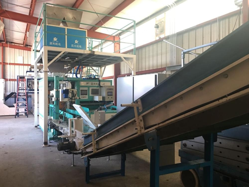 Buy Fully Automatic Wheat Flour Rice Bagging Machine, 20kg, 50kg from ...