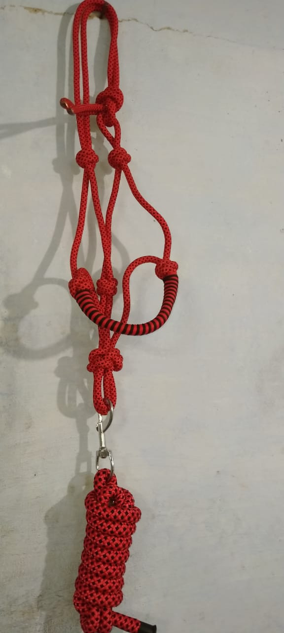 Buy Cowboy Knot Rope Halter W/ Noseband New Horse Tack from ERUM OVERSEAS, India | Tradewheel.com