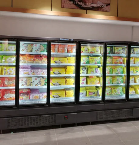Buy Energy Saving Commercial Remote Refrigerator Showcase Freezer ...