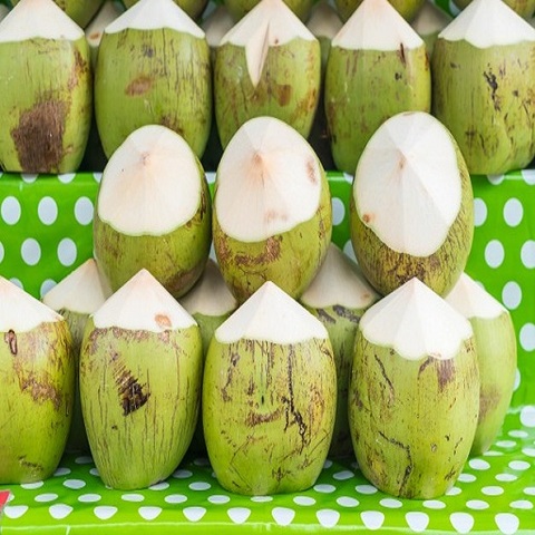 Buy Fresh Young Coconut, Nam Hom Coconut , Premium Grade Organic And ...