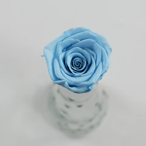 Buy Grade B 5-6 Cm Long Lasting Real Touch Preserved Rose Everlasting ...