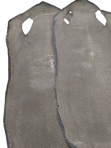 Buy Gray Stingray Skin Polish 50% Stingray Genuine Stingray Skin ...