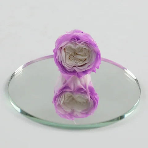 Buy Hight Quality Preserved Rose Eternal Rosas Preservadas 2-3cm Small ...