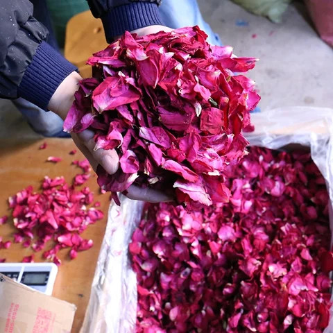 Buy Natural Dry Petal Red Rose Confetti White Dried Rose Flower Petals ...
